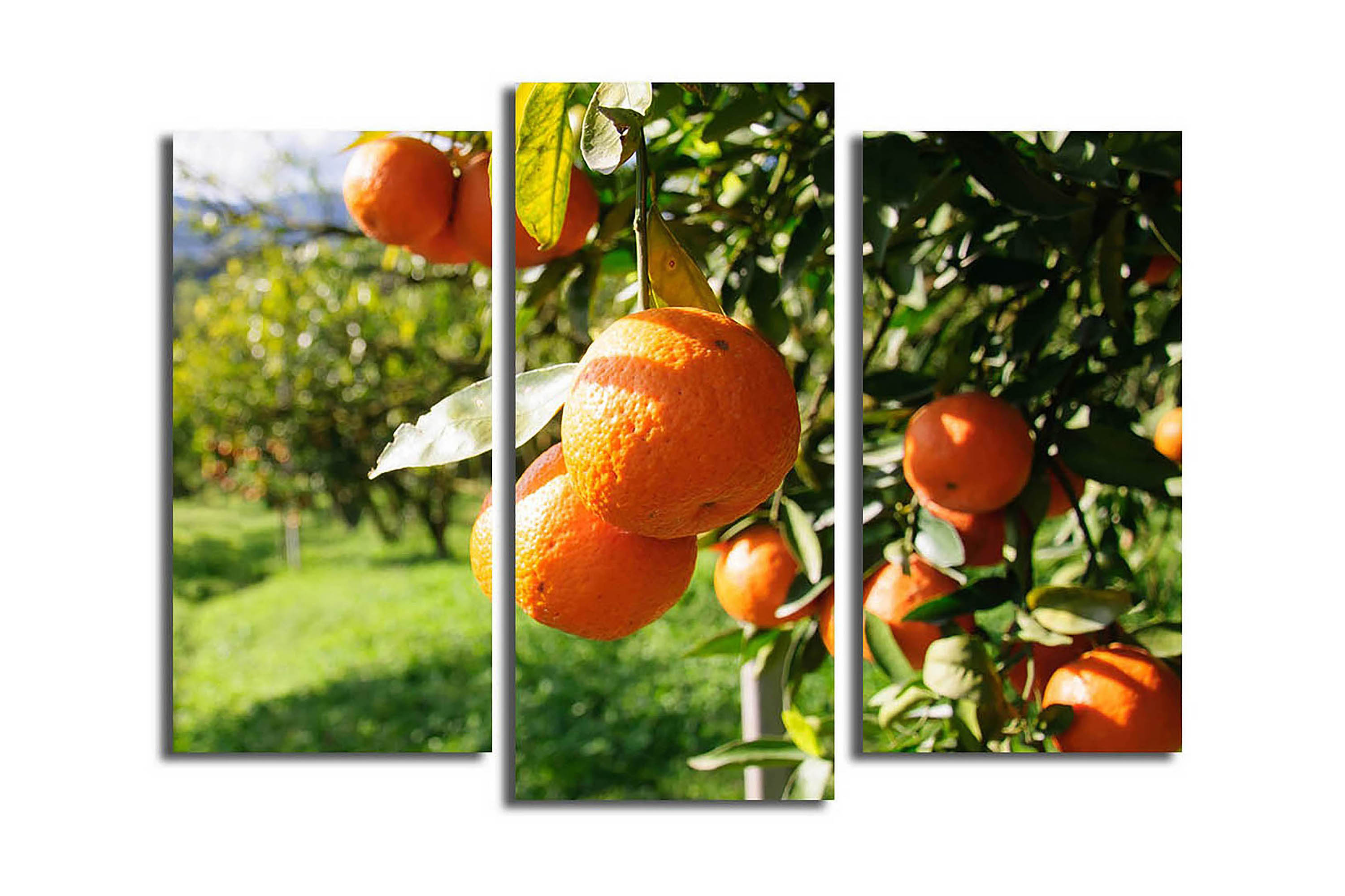 Dekorativt Canvas Maleri 3 Dele Flerfarvet - Boligtilbehør | Trademax