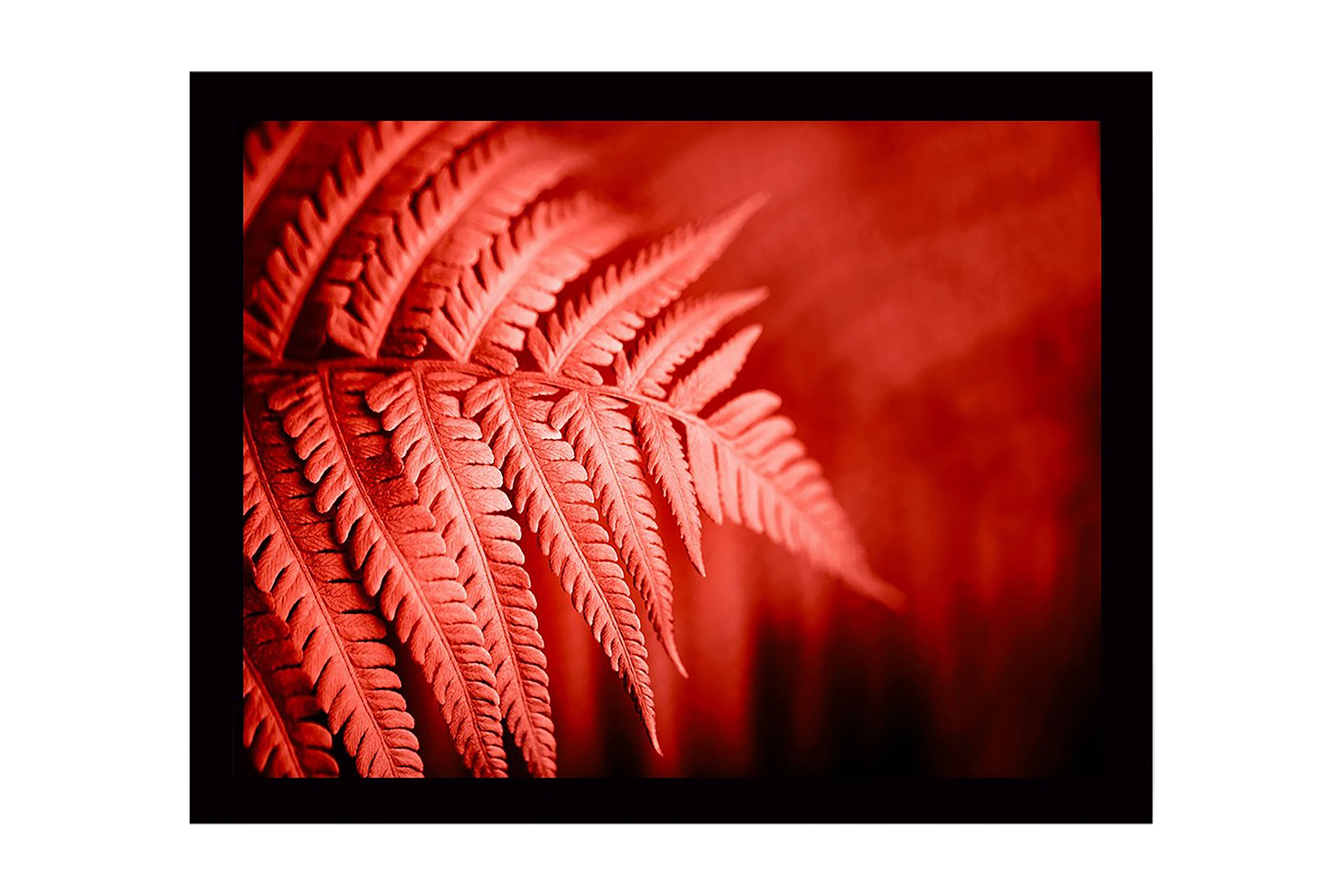 Vægdekoration MDF Maleri - Boligtilbehør | Trademax