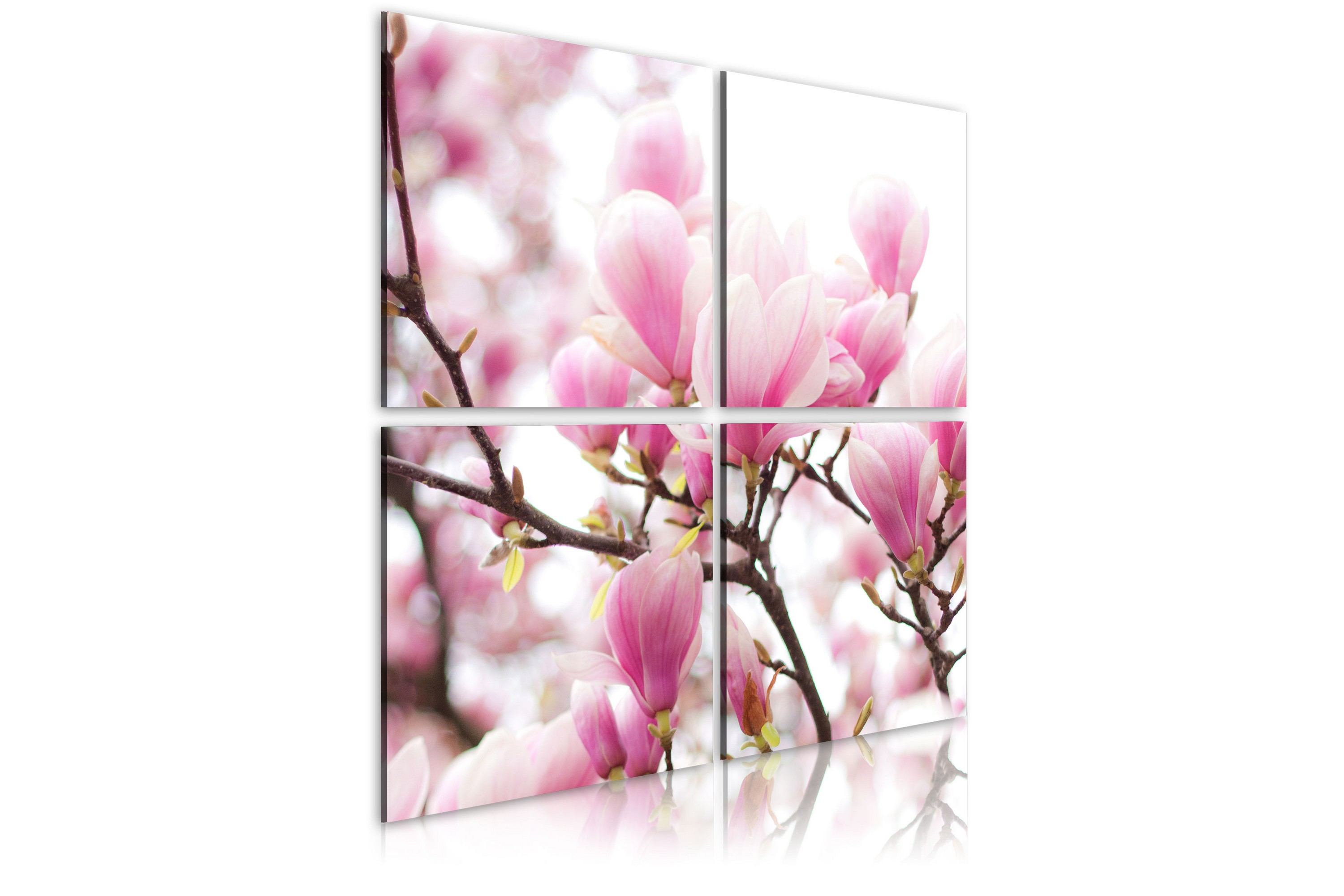 Tavla Blommande Magnolia Träd 40x40 Artgeist sp. z o. o. - Inredning ...