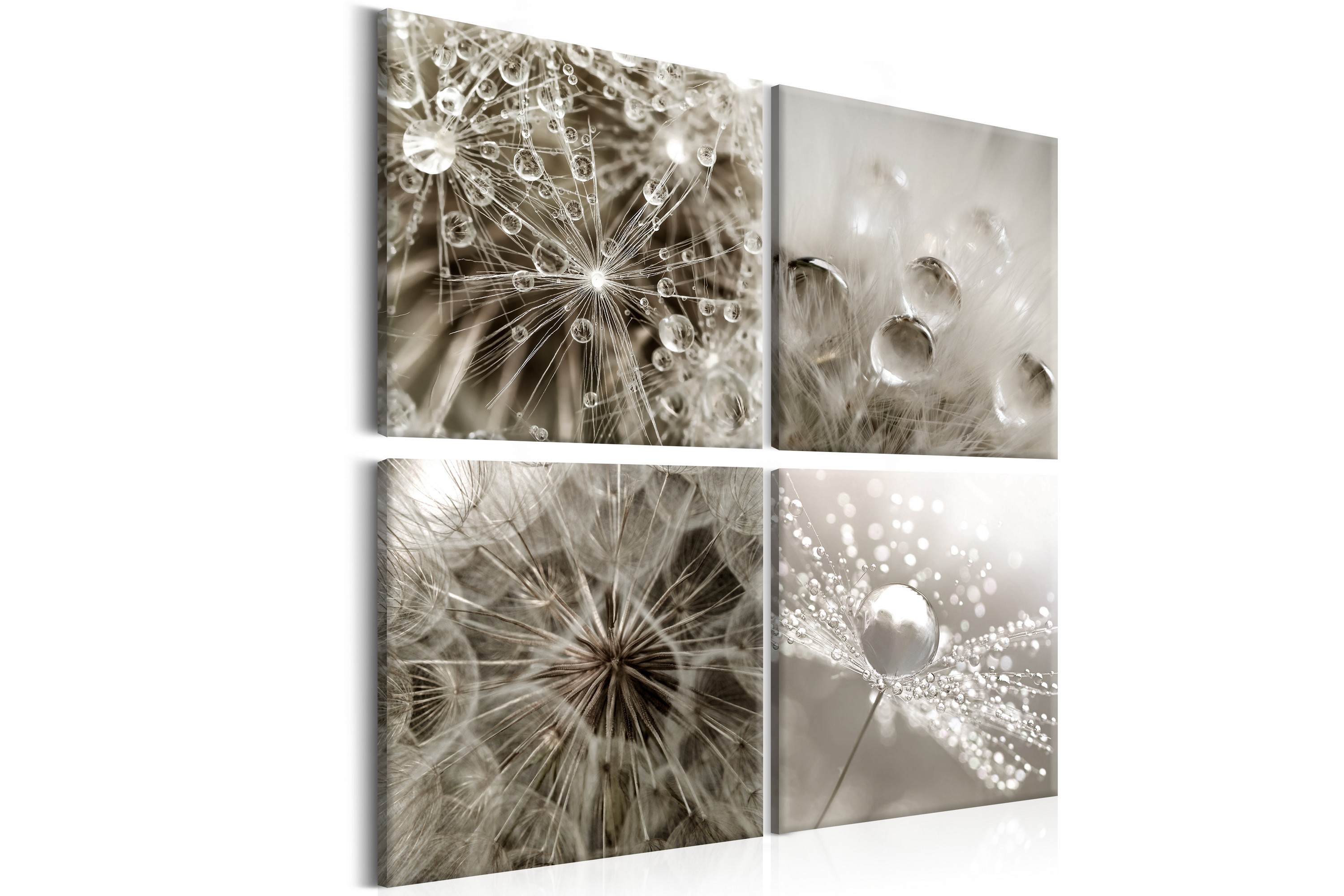 Tavla Grey Dandelion 40x40 Artgeist sp. z o. o. - Inredning - Trademax