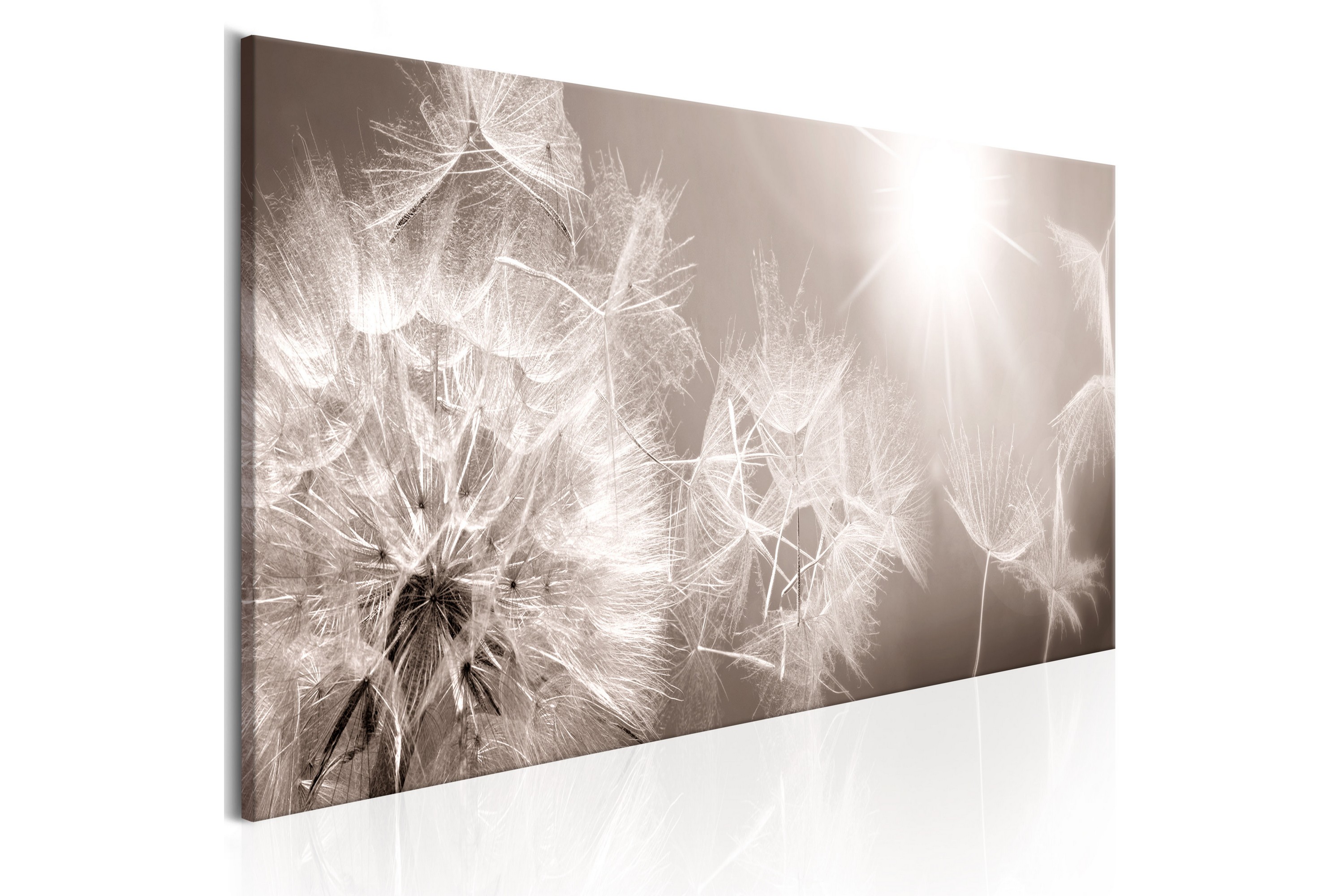 Tavla Summer Dandelions 120x40 Artgeist sp. z o. o. - Inredning - Trademax